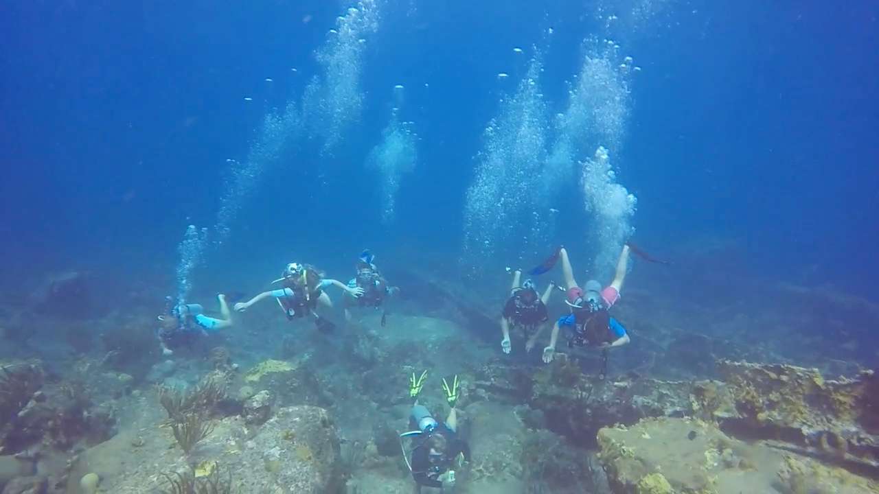 Scuba Diving Yacht Charters - Your Underwater Experience ...